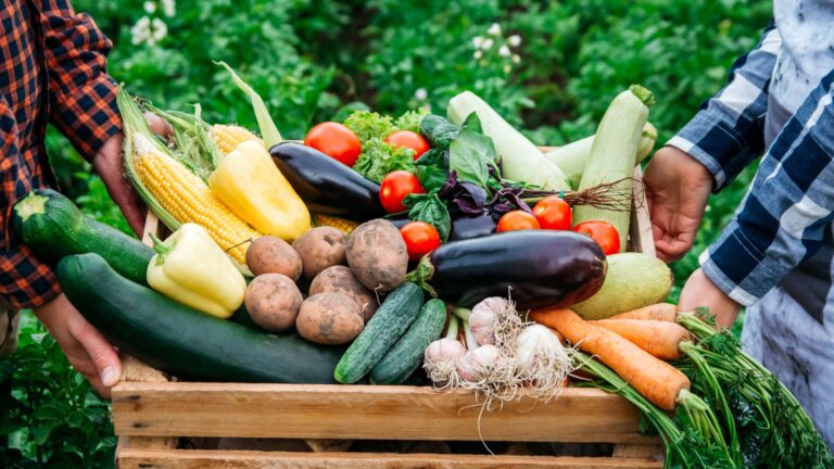 A Food Systems Manifesto for the UK